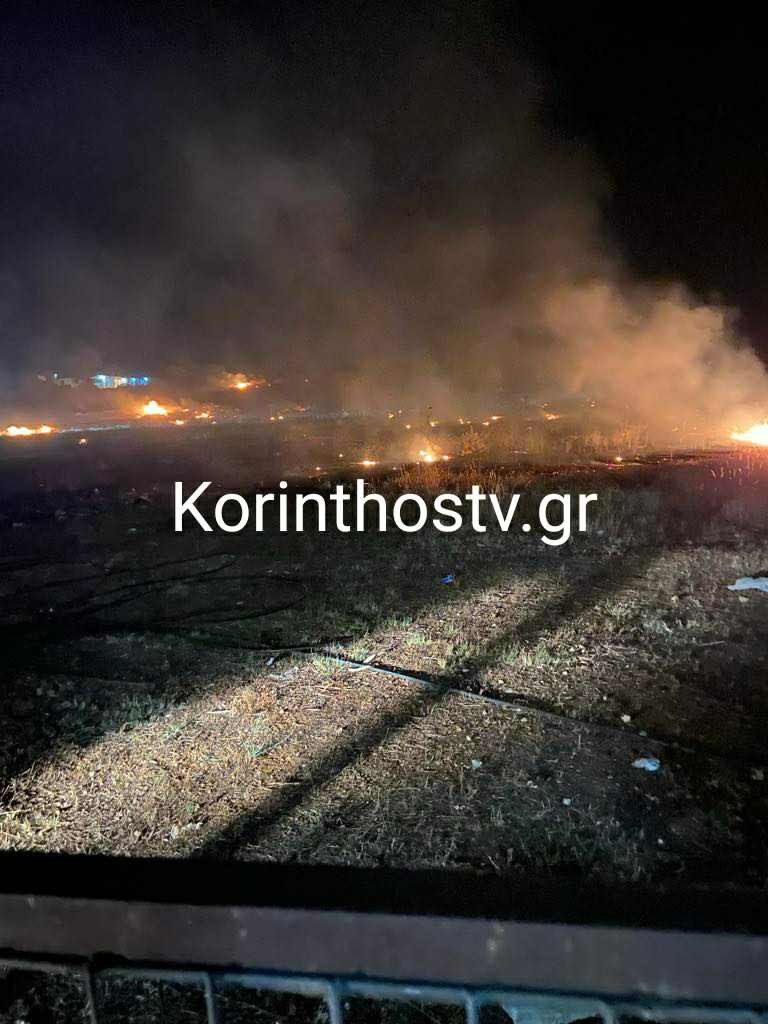 Φωτιά στο Ζευγολατιό Κορινθίας -Τέθηκε άμεσα υπό έλεγχο [εικόνες] - iefimerida.gr